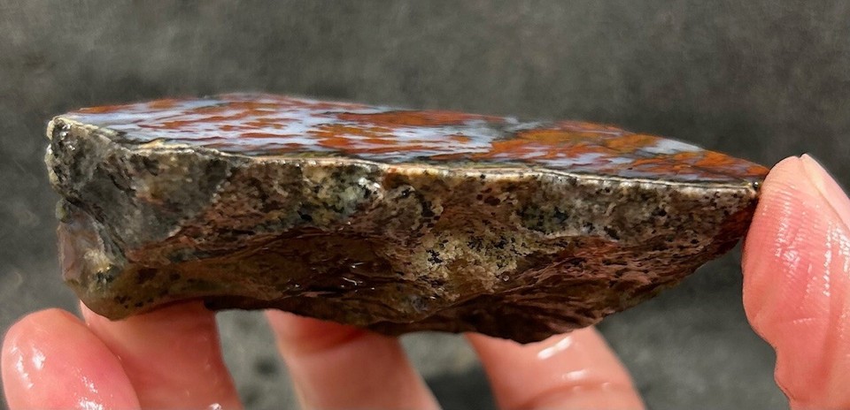 Wingate Pass Plume Agate Faced Rough - California! | eBay