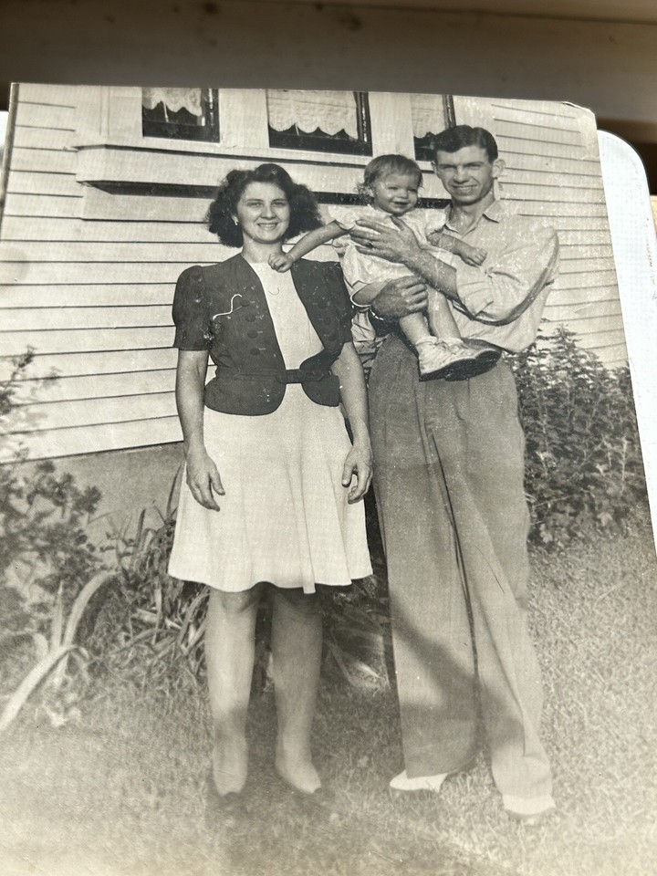 Delaine Merino Wood Sheep Wilmington Ohio Vandervort Family Pictures | eBay