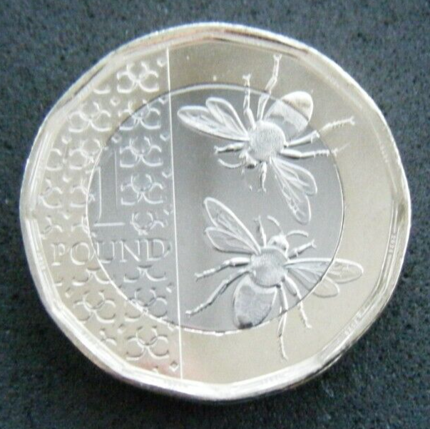 2024 £1 One Pound Coin Bees Brilliant Uncirculated BU - In Stock | eBay UK