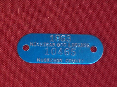 Vintage Michigan Dog License Tax Tag Muskegon County MI 1963 # 10465 ...