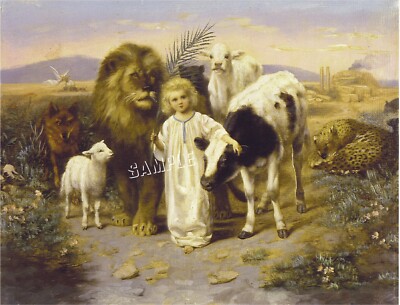 "PEACE ANGEL" Lion LAMB Sheep COW Wolf CANVAS Religious Art Print ...