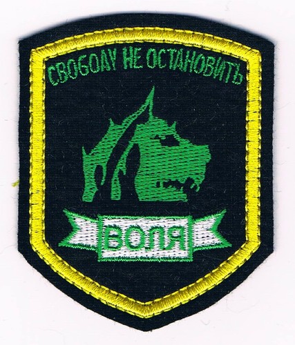 S.T.A.L.K.E.R. STALKER Factions Freedom patch Clear Shadow Chernobyl ...