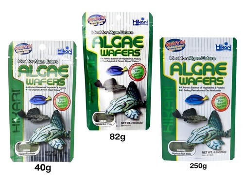 Hikari Algae Wafers Tropical Catfish Plecos Sinking Wafer Disc Fish ...