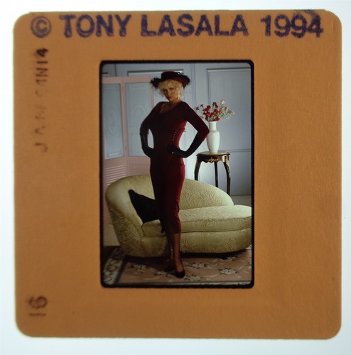 TL8 728 1994 BUNNY GLAMAZON HIGH SOCIETY MODEL ORIG TONY LASALA 35MM tl8-728-1994-bunny-glamazon-high-society-model-orig-tony-lasala-35mm