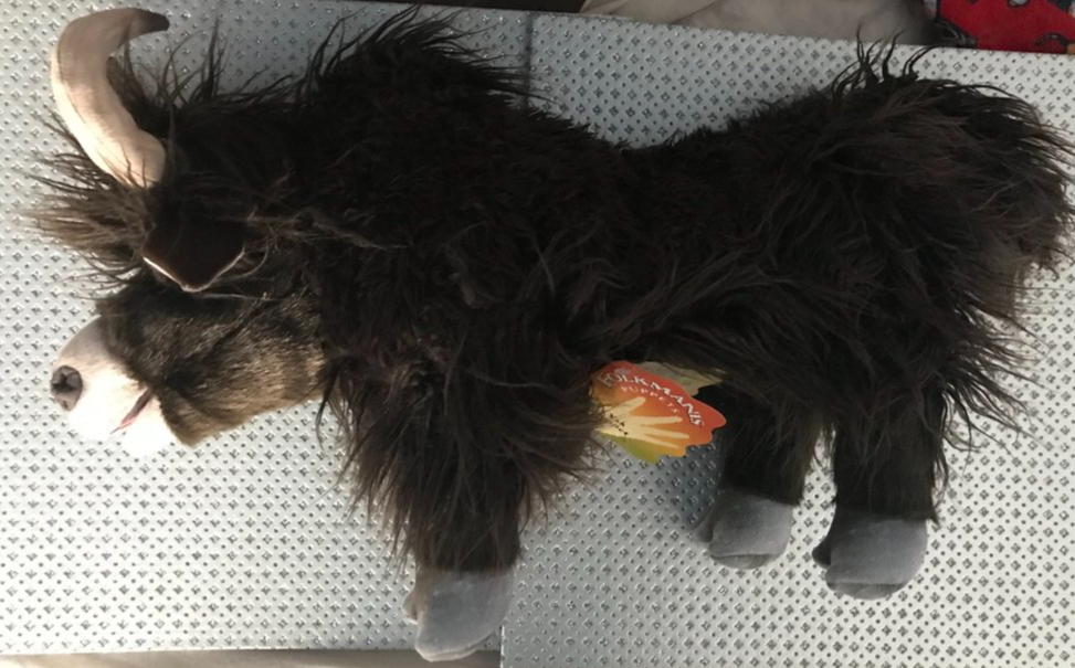 Folkmanis Yak Hand Puppet, 20" - In Need Of Forever Home - | eBay