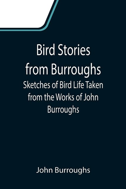 Bird Stories From Burroughs; Sketches of Bird Life Taken From The Works ...