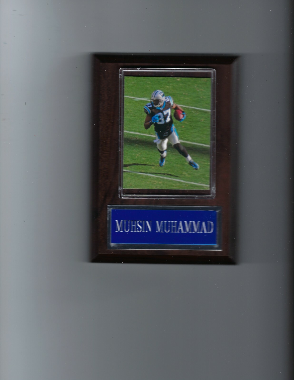 MUHSIN MUHAMMAD PLAQUE CAROLINA PANTHERS FOOTBALL NFL | eBay