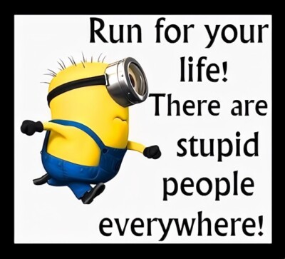 Minion Run For Your Life Stupid People Everywhere Funny MAGNET | eBay