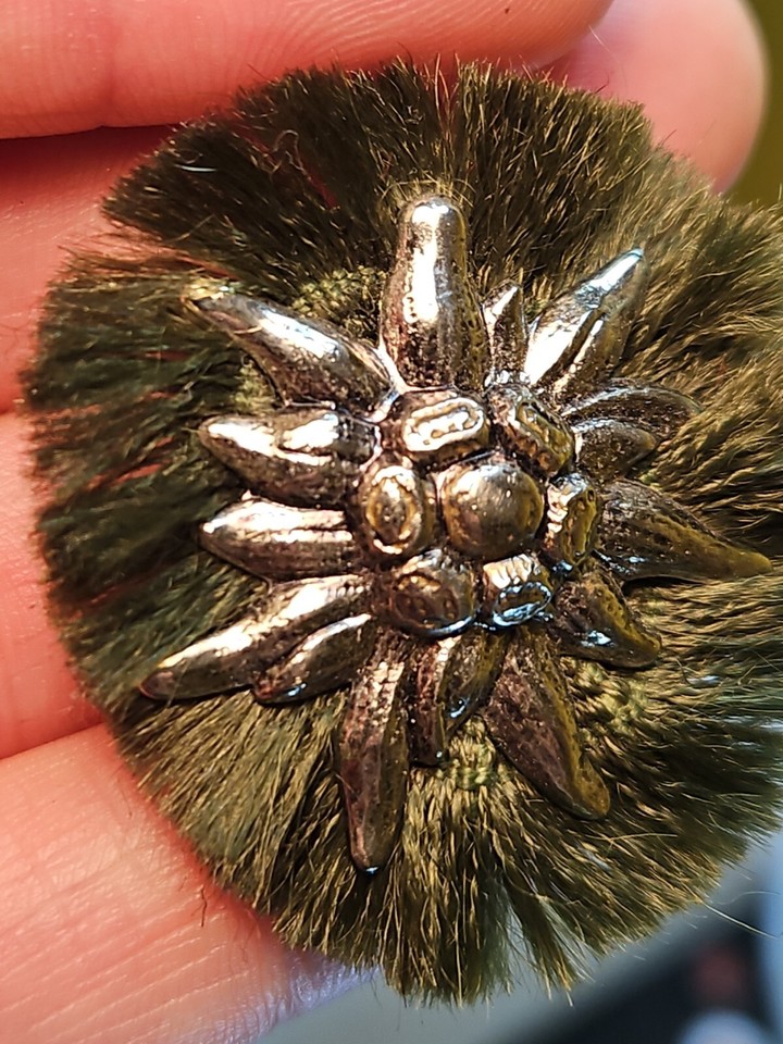 rare 1st Mountain Division Wehrmacht German WW2 Edelweiss Gebirgsjager ...