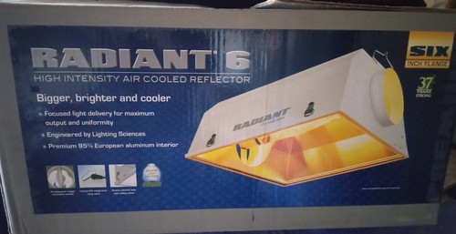 Radiant 6 " Air Cooled Reflector With FREE Light bulb | eBay
