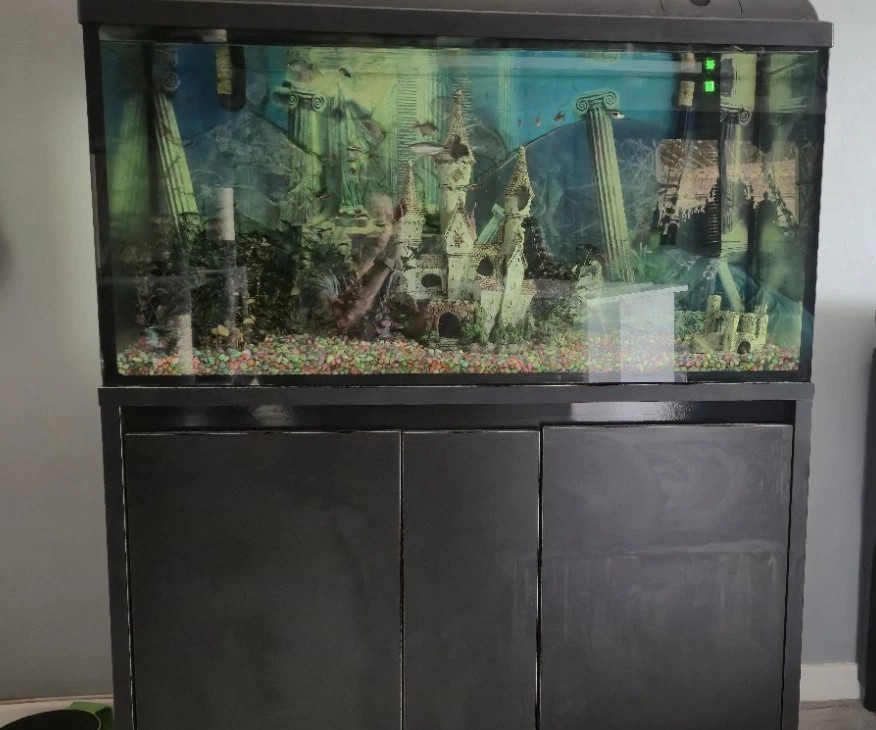 Fish Tank Aquarium With Stand 50cm High 100cm Width. Cabinet - 70cm X ...