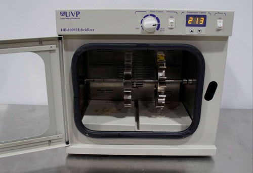 UVP Hb-1000 Hybridizer Hybridization Oven 230v 50hz for sale online | eBay