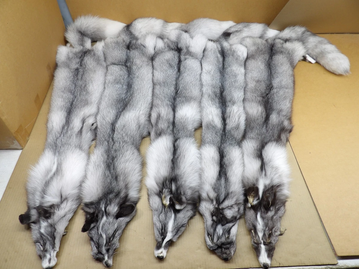 Shadow Fox Fur