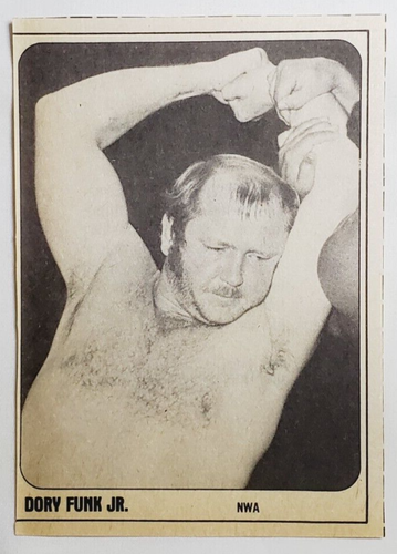 1981 Wrestling Super Stars Magazine Dory Funk Jr Rookie card RC NWA WWE ...