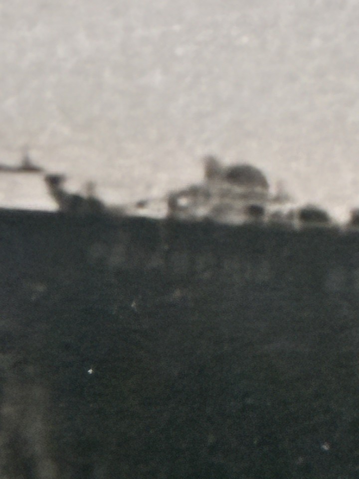 Merchant navy Ephemera blue star ship 206 large photo Patagonia star ...