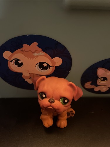 Rare Littlest Pet Shop LPS #180 Brown Bulldog Dog Green Eyes 2004 | eBay