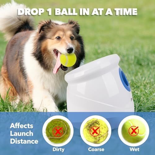 Automatic Ball Launcher for Large Dogs, with 6pcs Tennis Max Ball ...