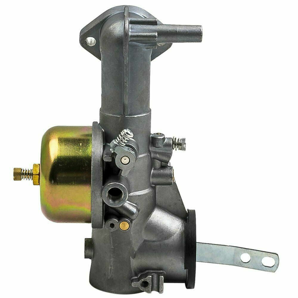 Carb for Briggs & Stratton 190706-2199 190706-5855 190707 191701-0128 ...