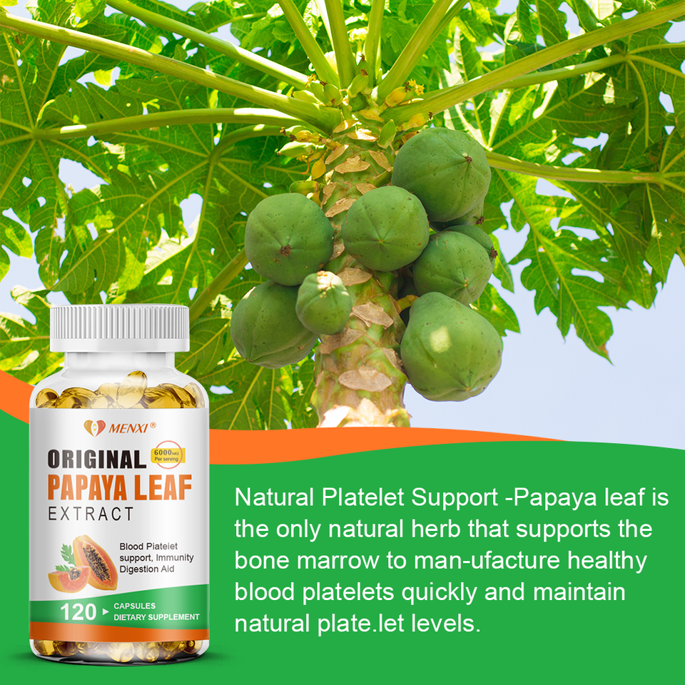 Papaya Leaf Extract Capsules -Support Digestive,Maintain Natural ...
