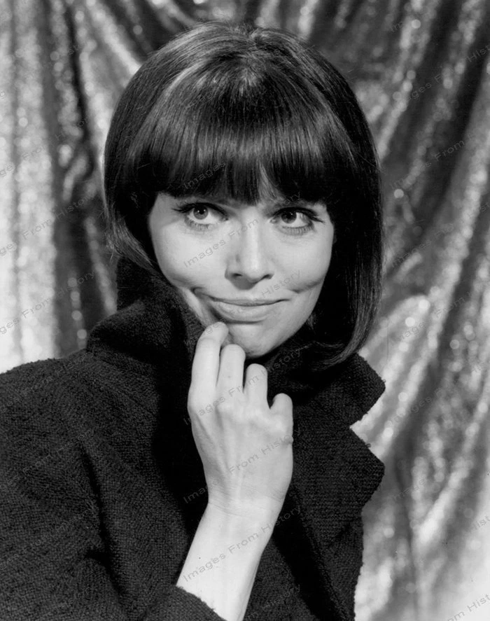 Barbara Feldon Now