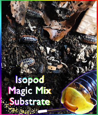 Organic Isopod Magic Mix Substrate - Snail Cockroach Milipedes ...