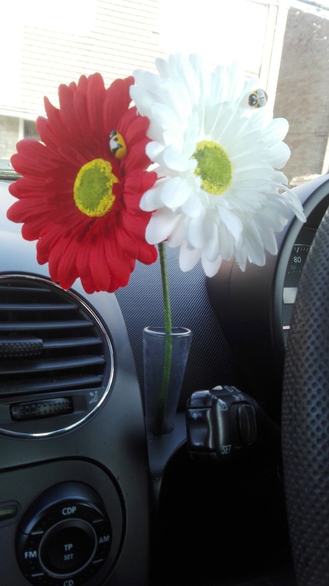 Flower Covered Beetle Vw The Volkswagen Beetle Once Came With A