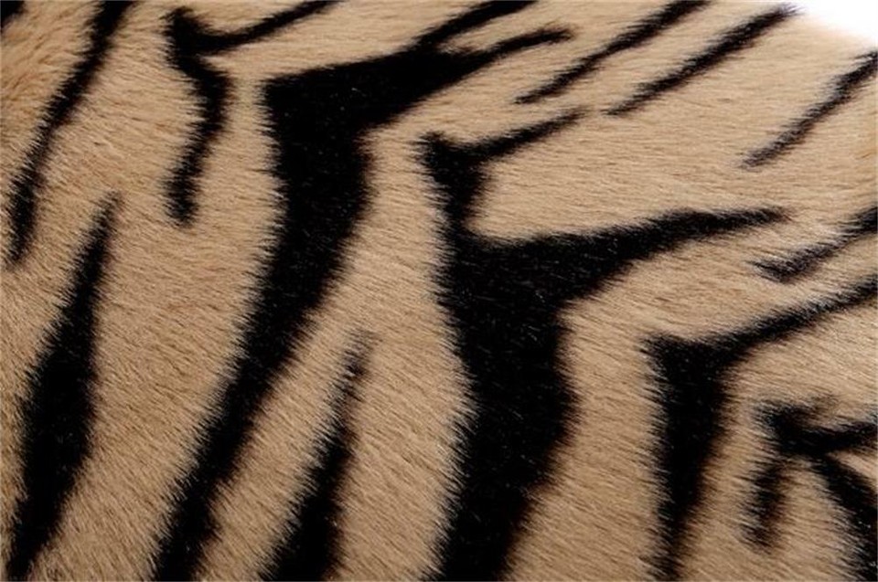 Tiger Stripes Print Rug Faux Animal Carpet Bedroom Rug Living Room Sofa ...