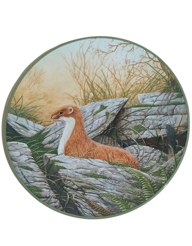 Royal Doulton Rollingson's Portraits Of Nature A Stoat On The Alert ...