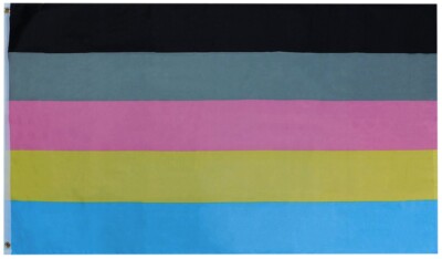 Polygender Pride LGBTQIA Premium Quality 3x5 3'x5' Polyester 100D Flag Banner | eBay