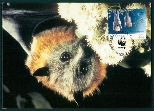 SAMOA MK WWF FAUNA FLUGHUND FLEDERMÄUSE BATS MAXIMUMKARTE MAXI CARD MC ...