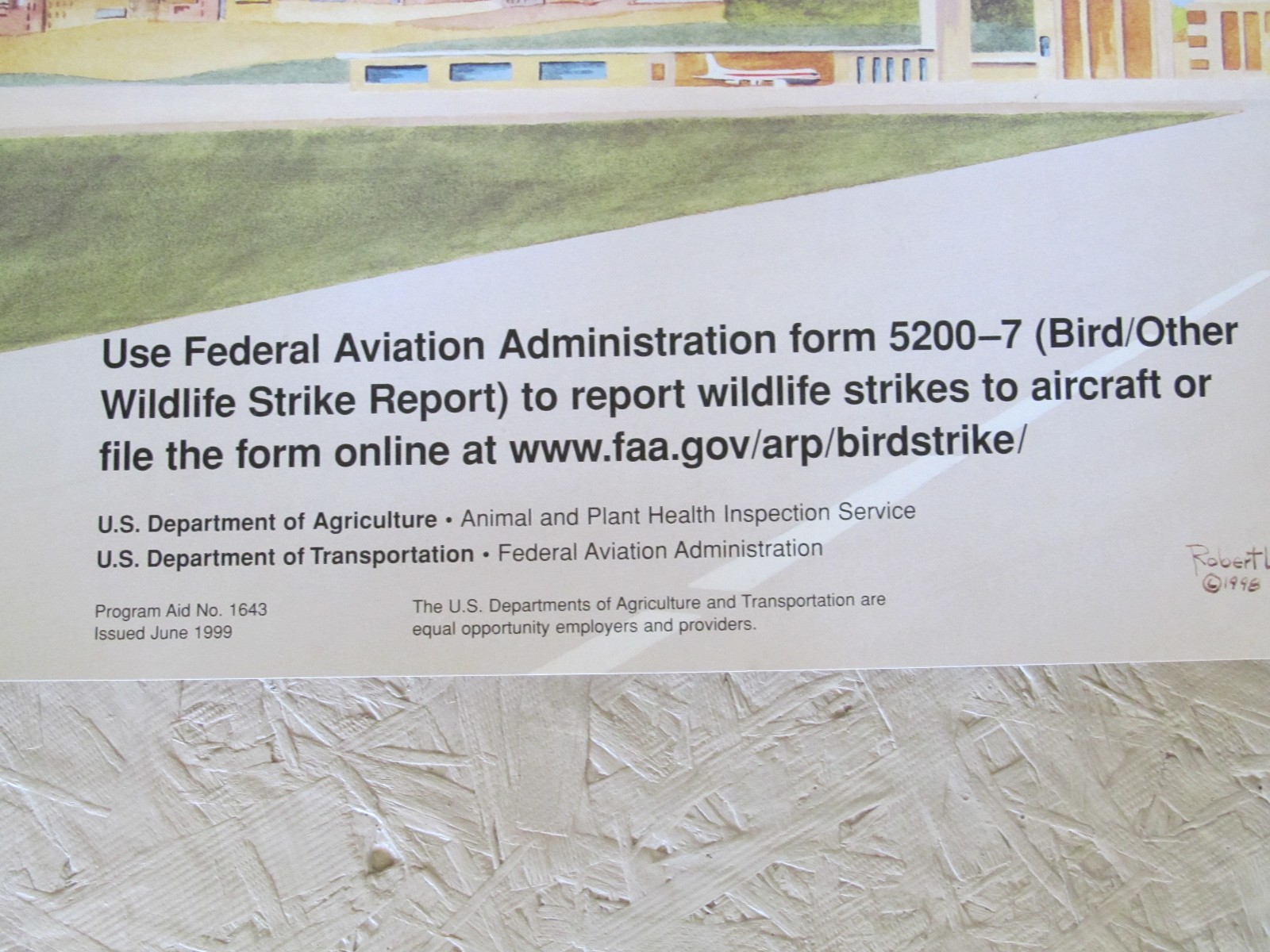 Airplane Poster Print Aviation 22" FAA Wildlife Bird Strike Robert W ...