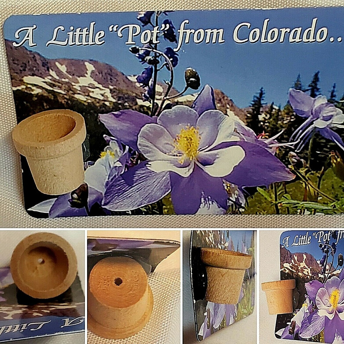 A Little Pot From Colorado A Little Pot From Colorado Shot Glass
