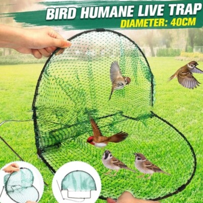 Catching Bird Net Pest Control Humane Live Trap Mesh For Sparrows ...