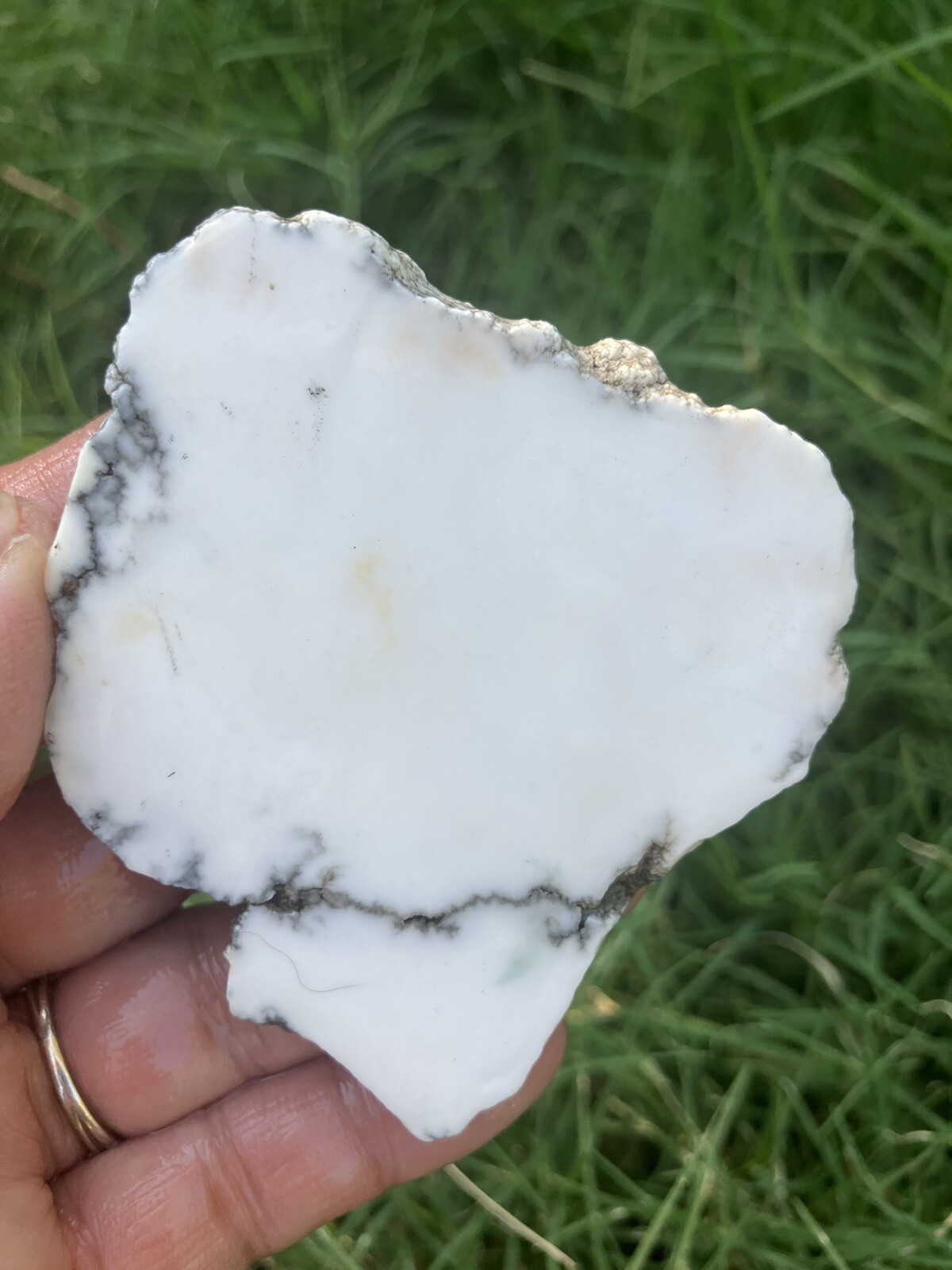 Howlite Slab | eBay