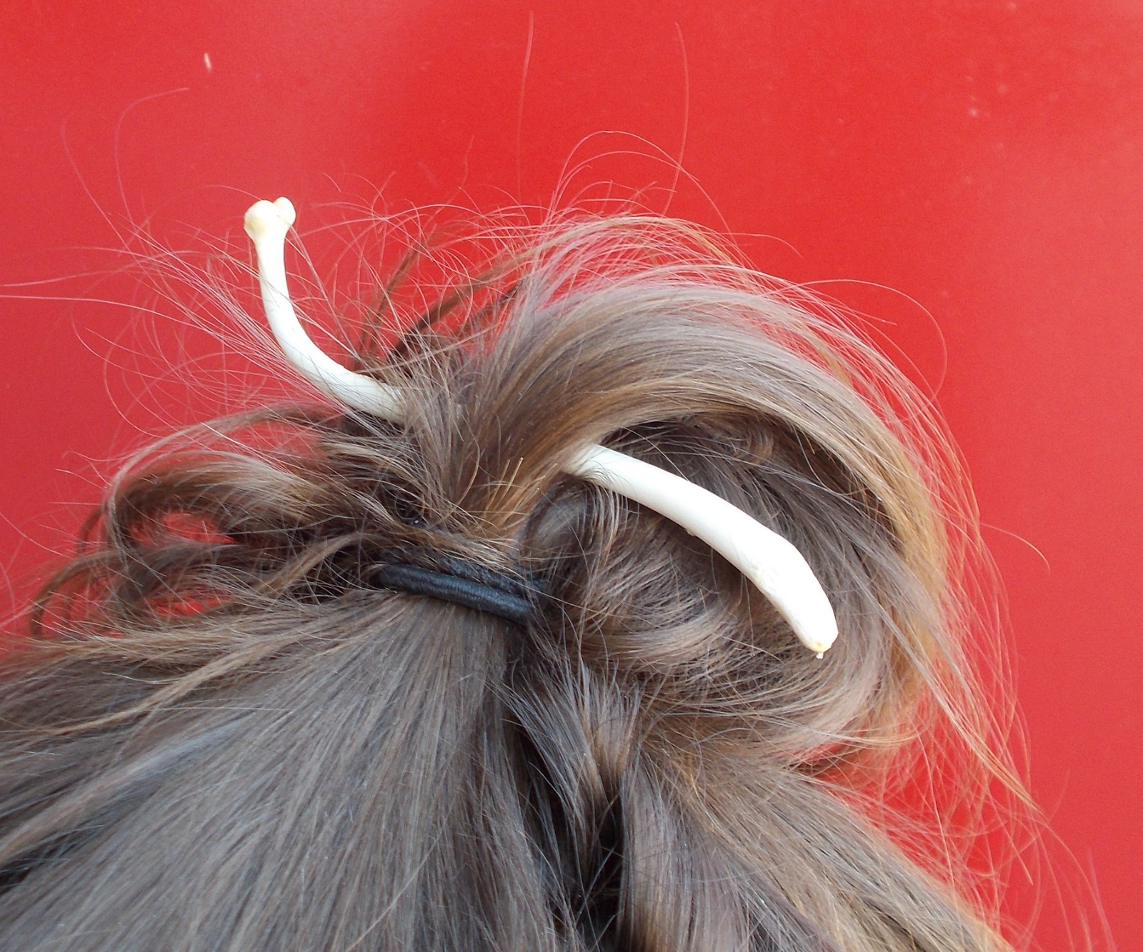 Four coon dicks, penis bone, cleaned and sanitized, raccoon, crafts ...