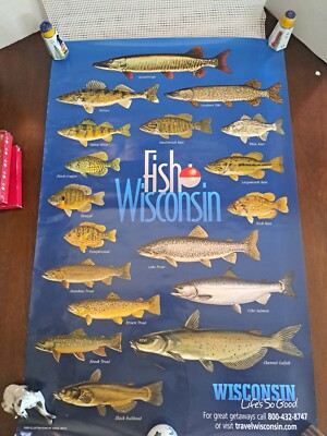 Advertisements - Wisconsin Fishing