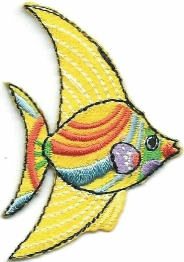 Freshwater Yellow Angelfish