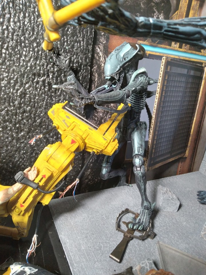 NECA ALIENS HUGE LOT DIORAMA RIPLEY,NEWT,HICKS,HUDSON,QUEEN, XENOMORP U ...