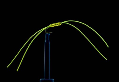 3 x Chartreuse Apps Bloodworm Blood Worm Flexi Floss Fly Flies, 4 Legs ...