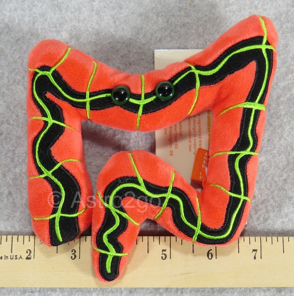 GIANT MICROBES-IRRITABLE BOWEL SYNDROME-Stuffed Plush Colon IBS Chronic ...