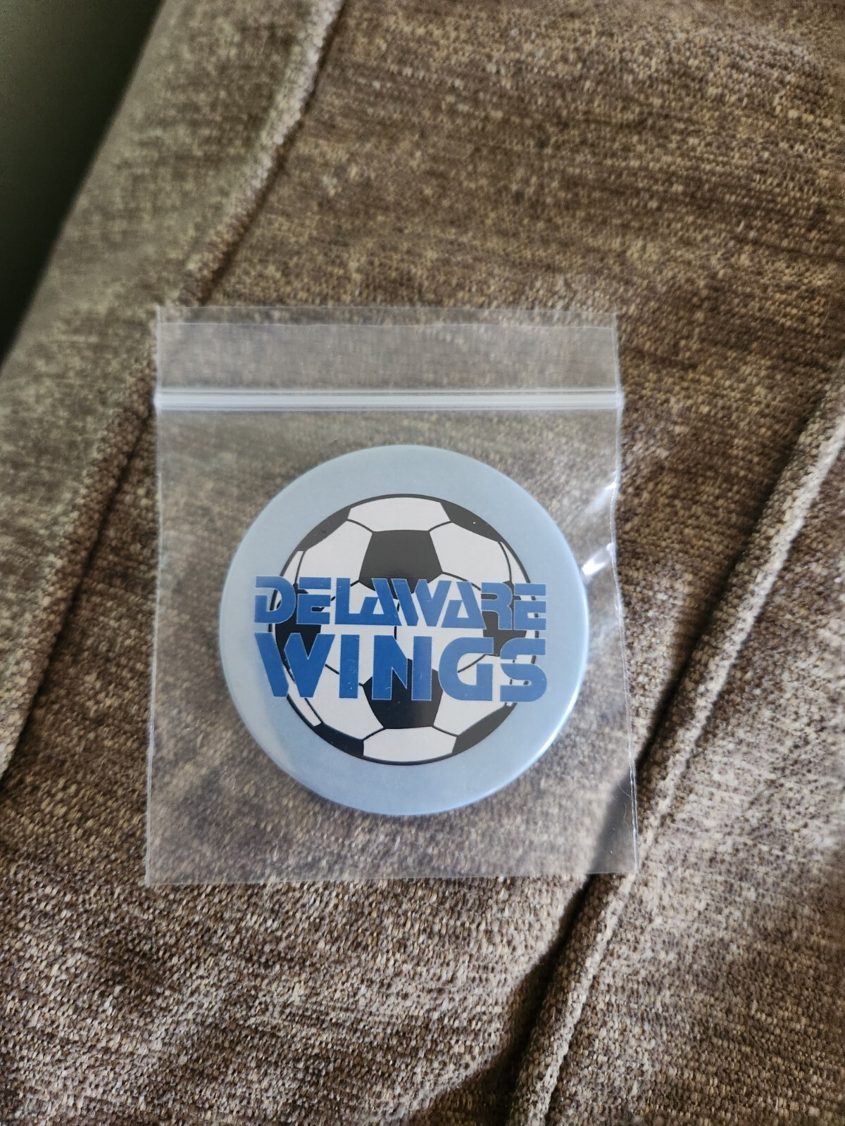 DELAWARE WINGS ASL 2.25 PIN NEW | eBay