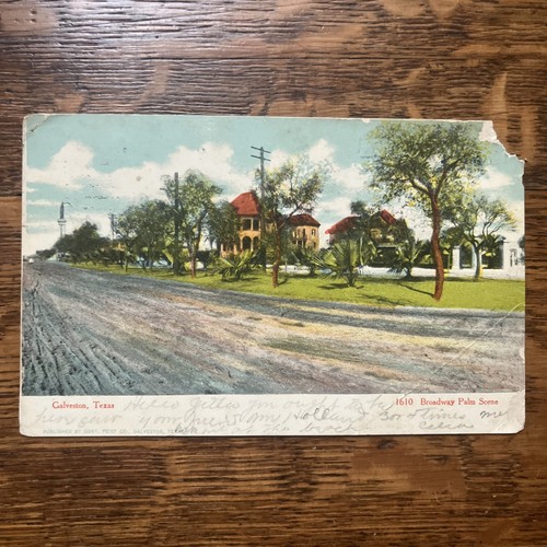 Galveston Texas 1907 Postcard 1610 Broadway Palm Scene | eBay