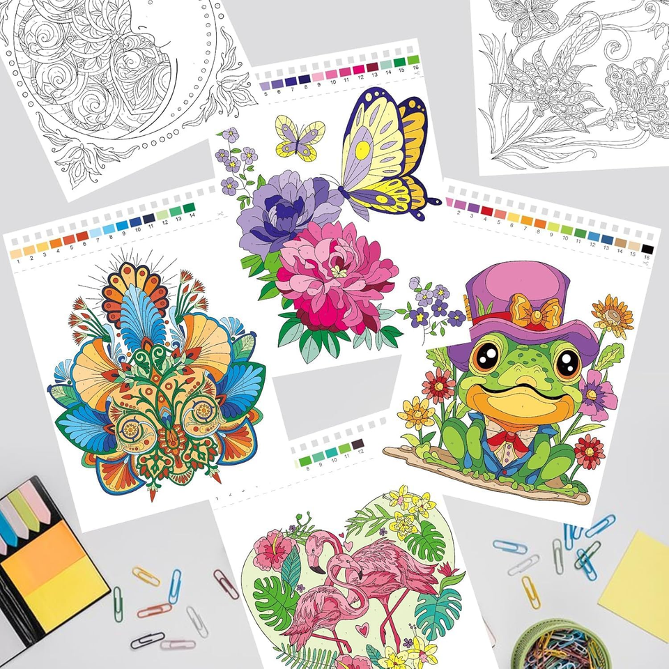 Adult Colouring Books Set - Colour by Numbers for Adults, 3 Colouring ...