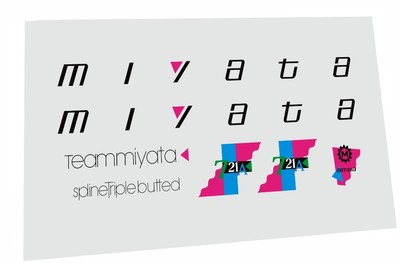 MIYATA TEAM 721A FROM 1990 DECAL SET | eBay