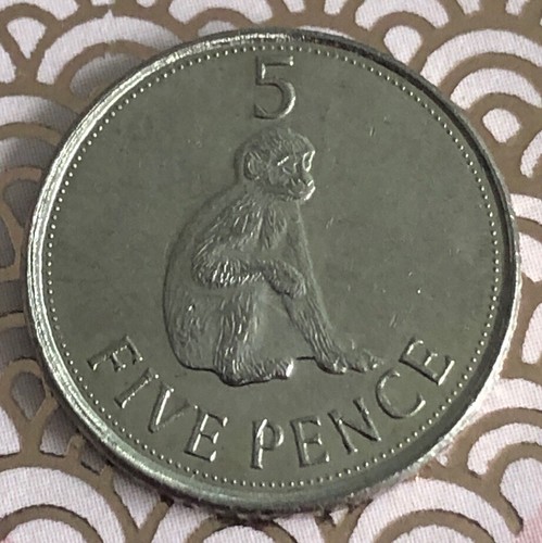 2012 Gibraltar 5p Five Pence Coin - Barbary Macaque Monkey, or Rock Ape ...
