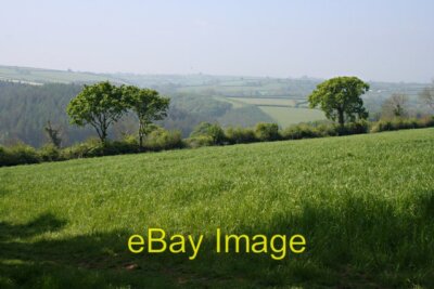 Photo 6x4 Silage Grass Treburley Beyond the field edge the land dips ...