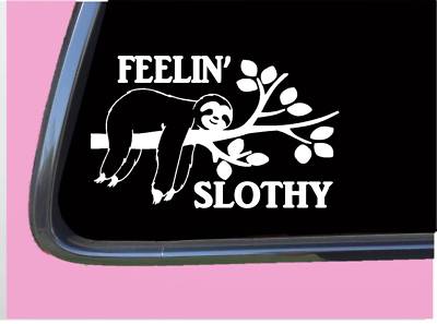 Feelin Slothy sloth TP 657 Sticker 8" Decal animals gifts stuffed ...