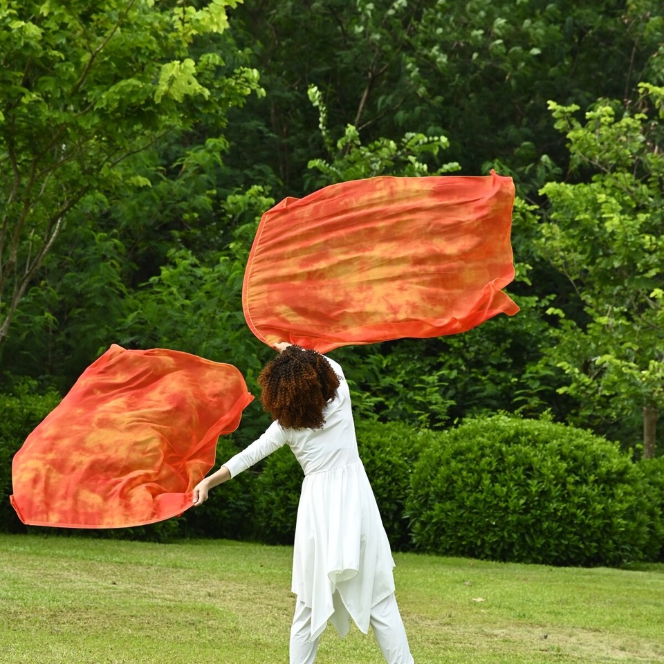 Prophetic Worship Chiffon Flex Flag Church Liturgical Praise Adoration ...