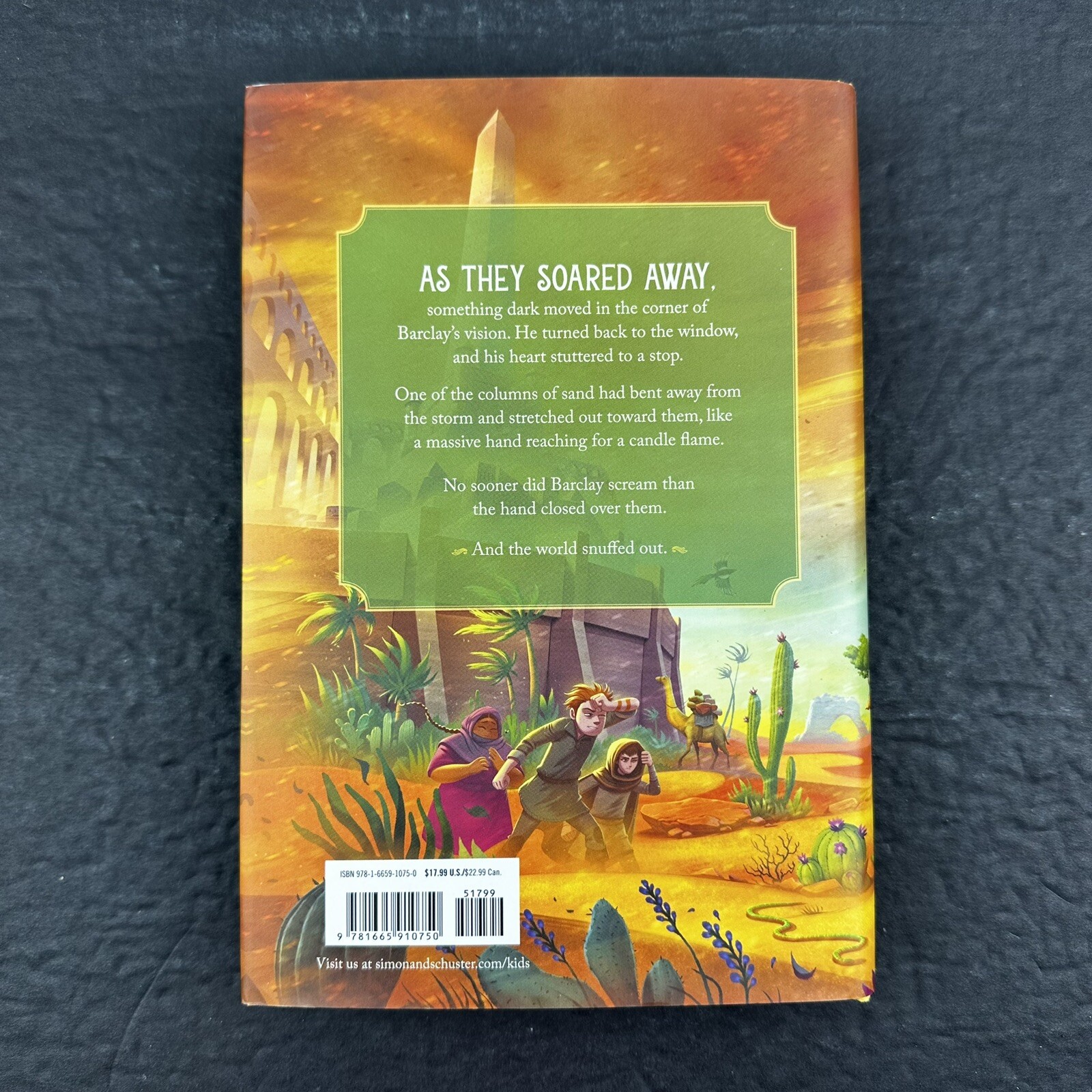 Wilderlore: The Ever Storms Book 3 - Hardcover- Amanda Foody ...