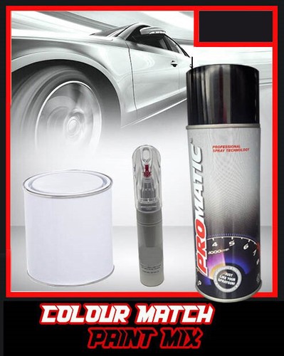 Quality Paint Match Pro - Size Options - for Mercedes Traffic Black ...